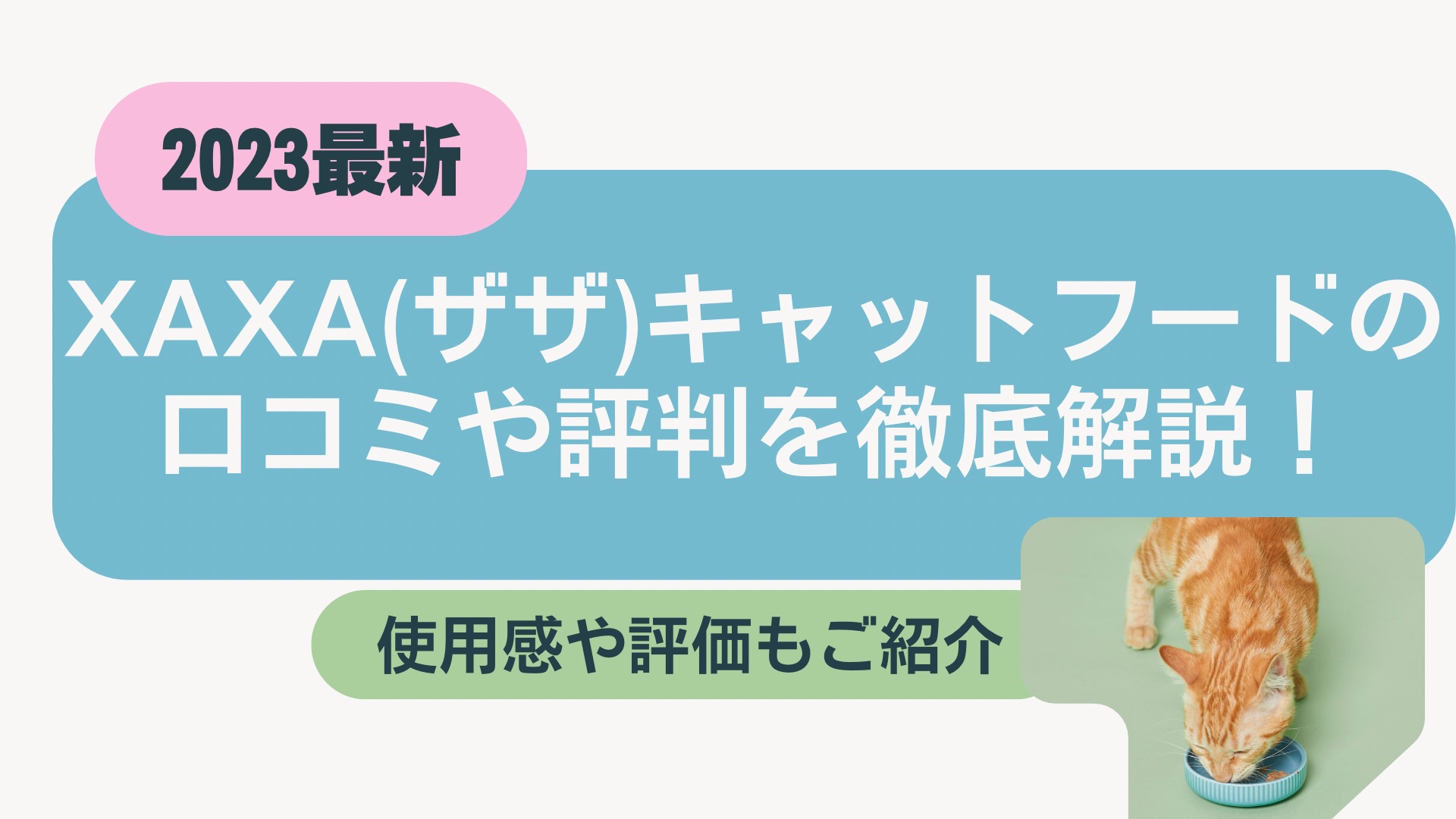 【2023最新】XAXA(ザザ)キャットフードの口コミや評判を徹底解説！使用感や評価もご紹介 | キャットフード辞典
